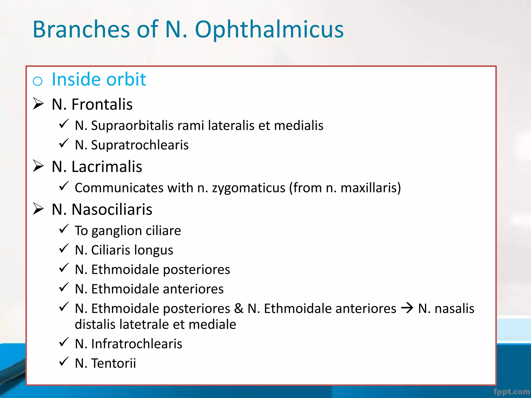 Branches of Trigeminal Nerve | PPTX