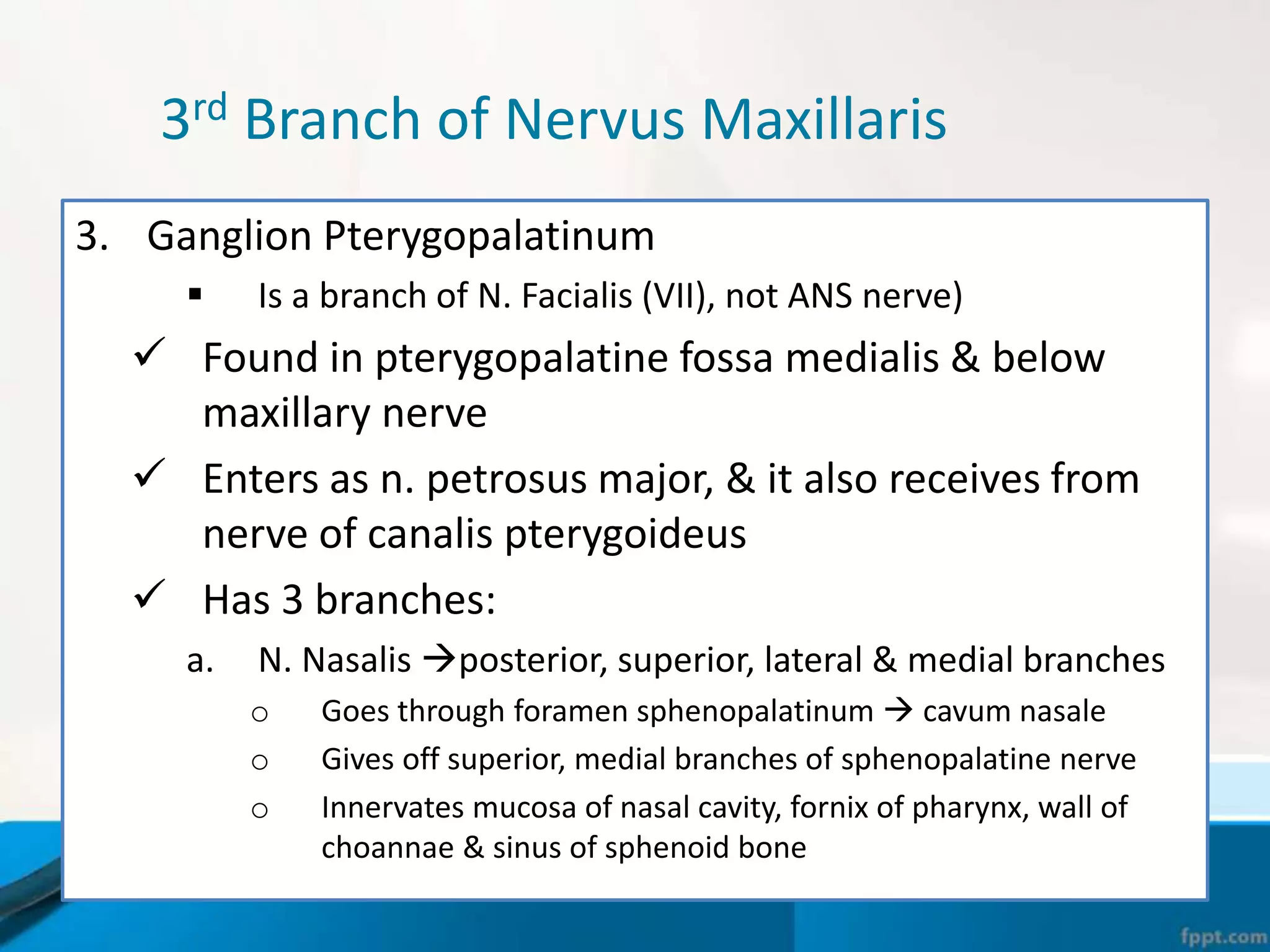 Branches of Trigeminal Nerve | PPTX