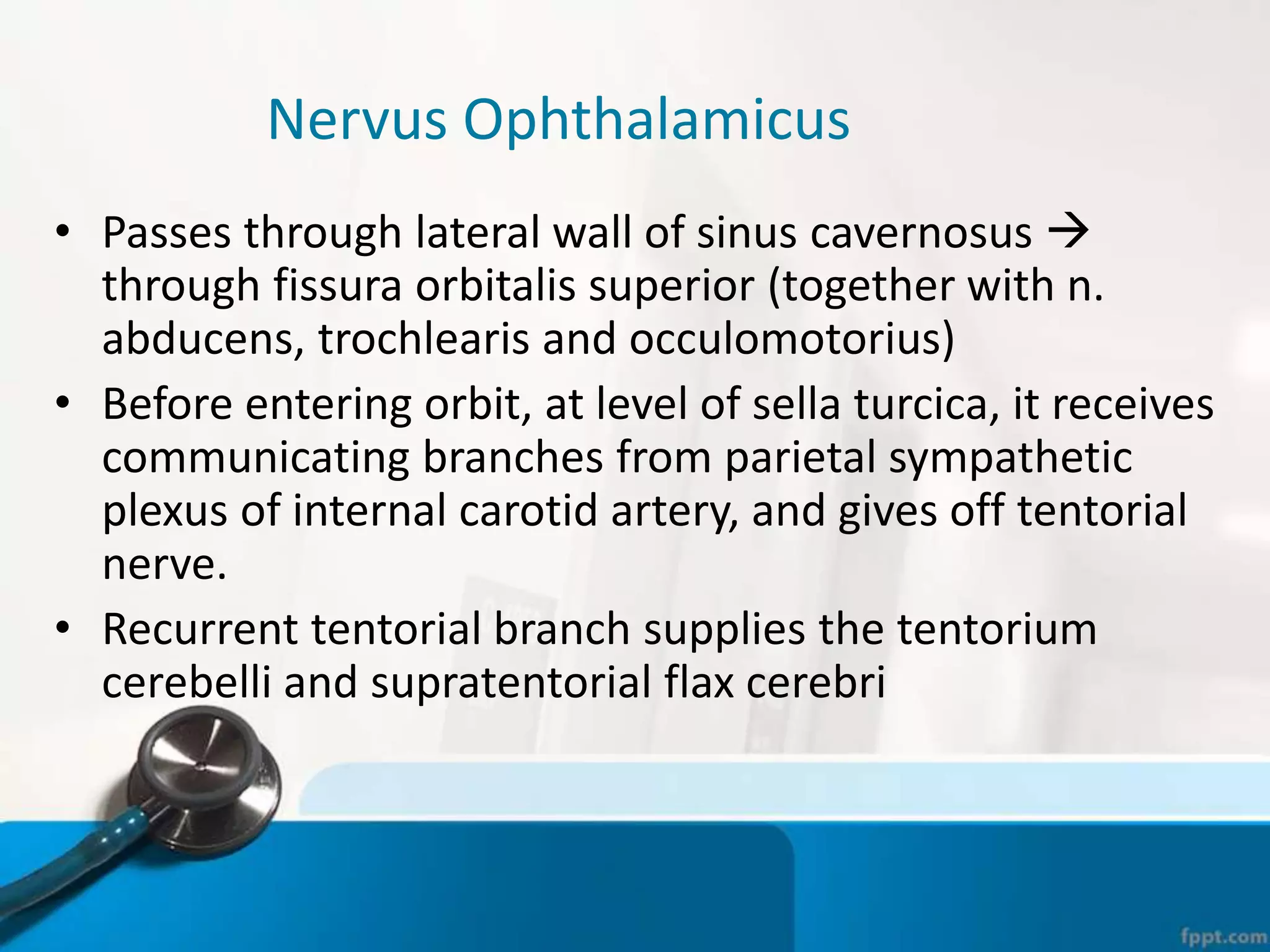 Branches of Trigeminal Nerve | PPTX