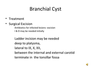 Branchial Remnants and Branchial Cyst | PPT