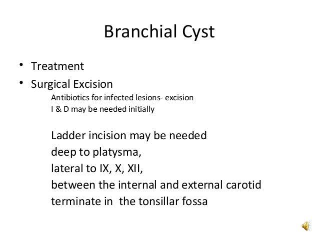 Branchial Remnants And Branchial Cyst
