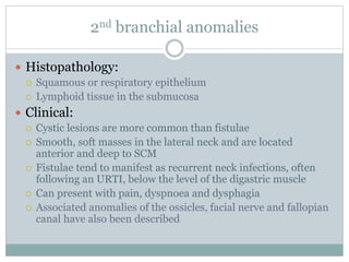 Branchial anomalies | PPTX
