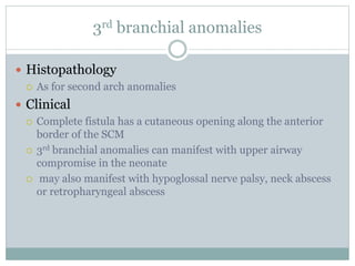 Branchial anomalies | PPTX