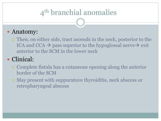 Branchial anomalies | PPTX