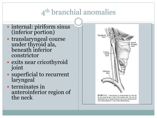 Branchial anomalies | PPTX