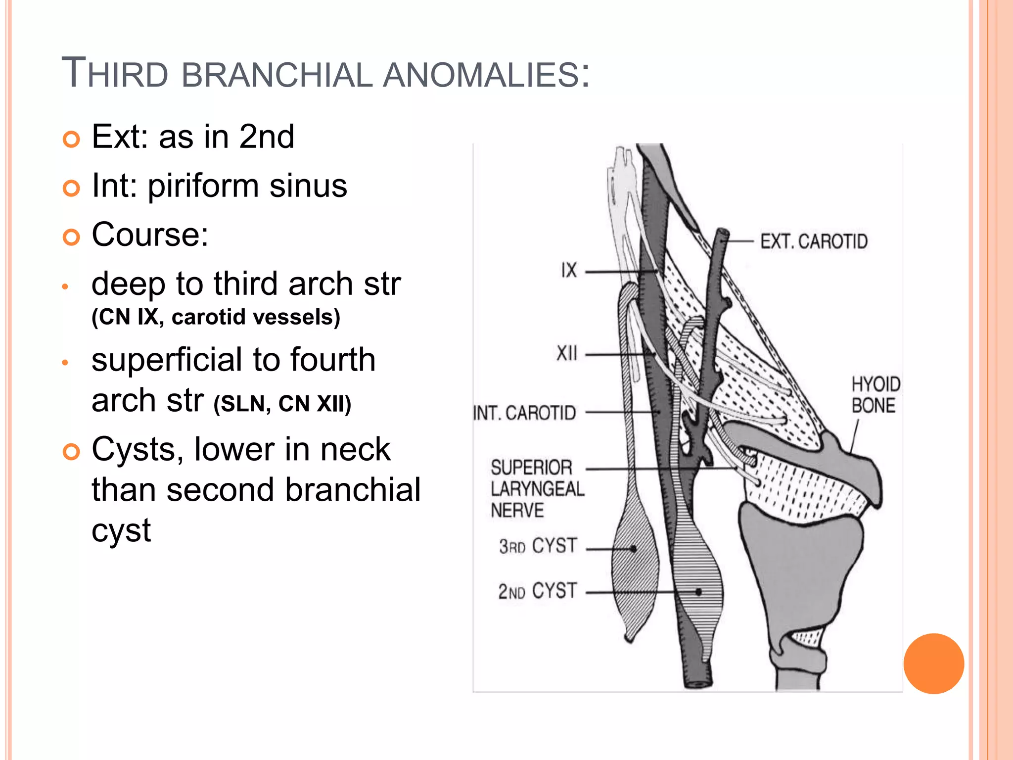 Branchial anomalies | PPTX