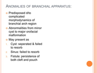 Branchial anomalies | PPTX