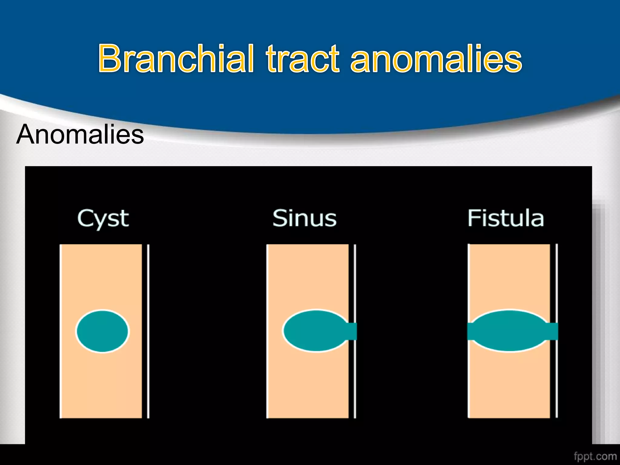 Branchial anomalies | PPTX