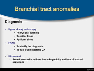 Branchial anomalies | PPTX