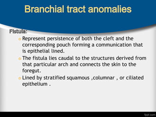 Branchial anomalies | PPTX