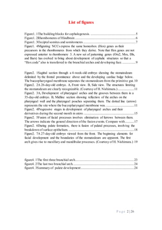 Branchial arch and develpment of the palate | DOCX
