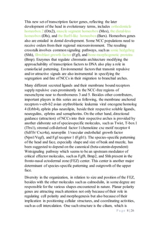 Branchial arch and develpment of the palate | DOCX