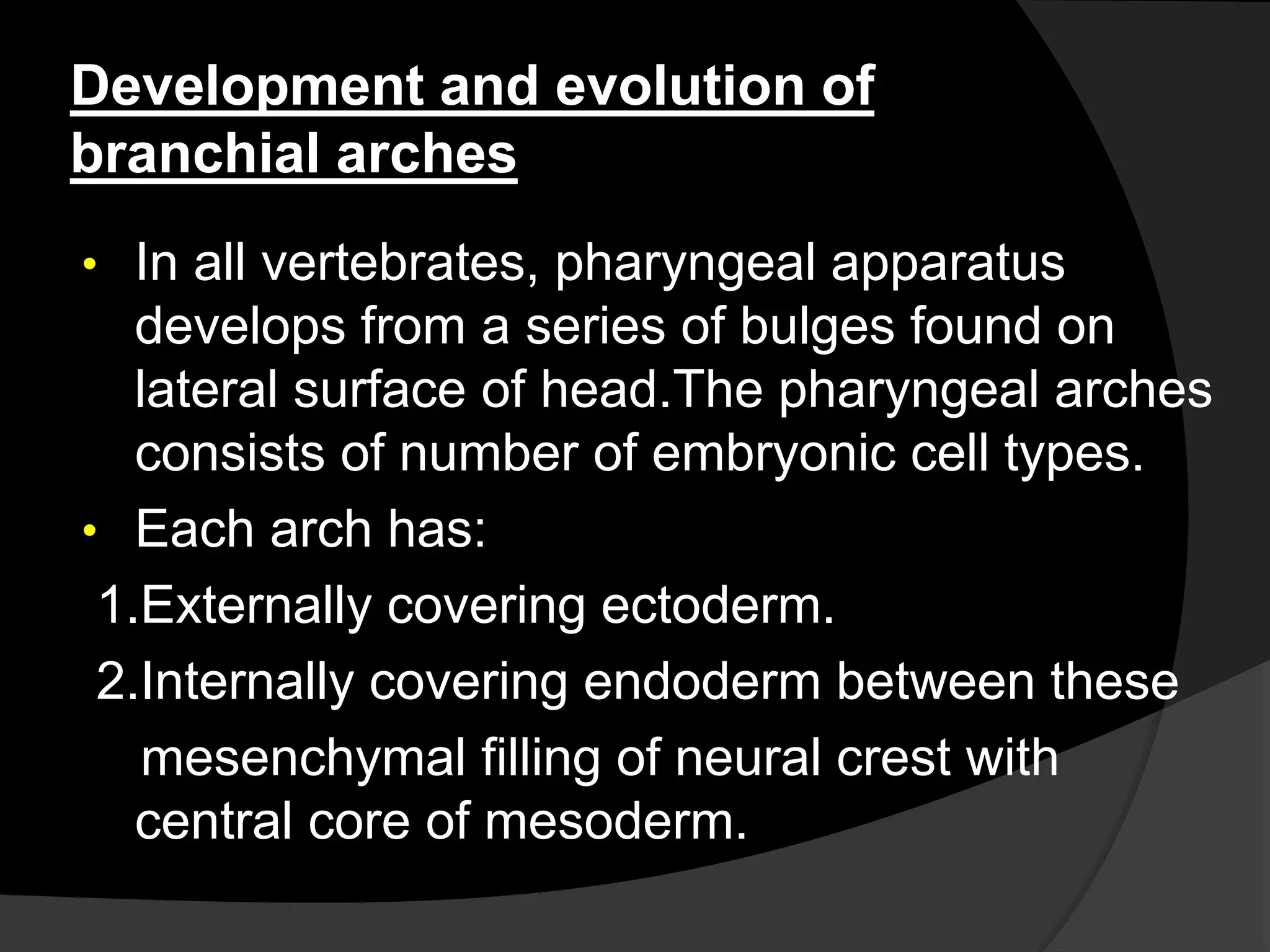 Branchial arches | PPTX