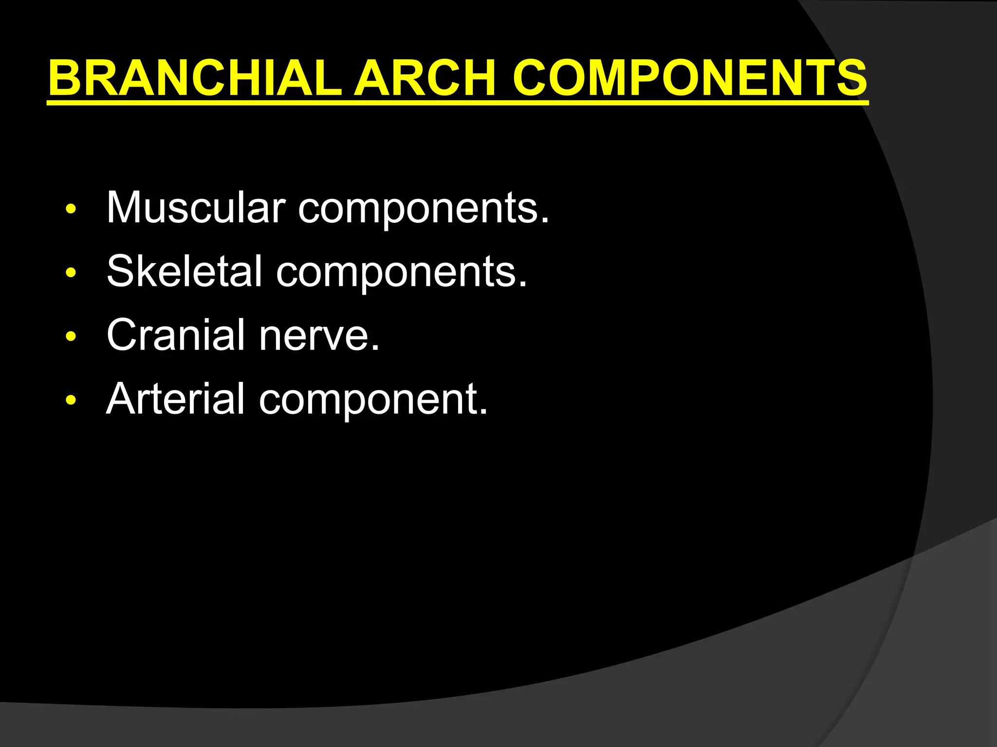Branchial arches | PPTX