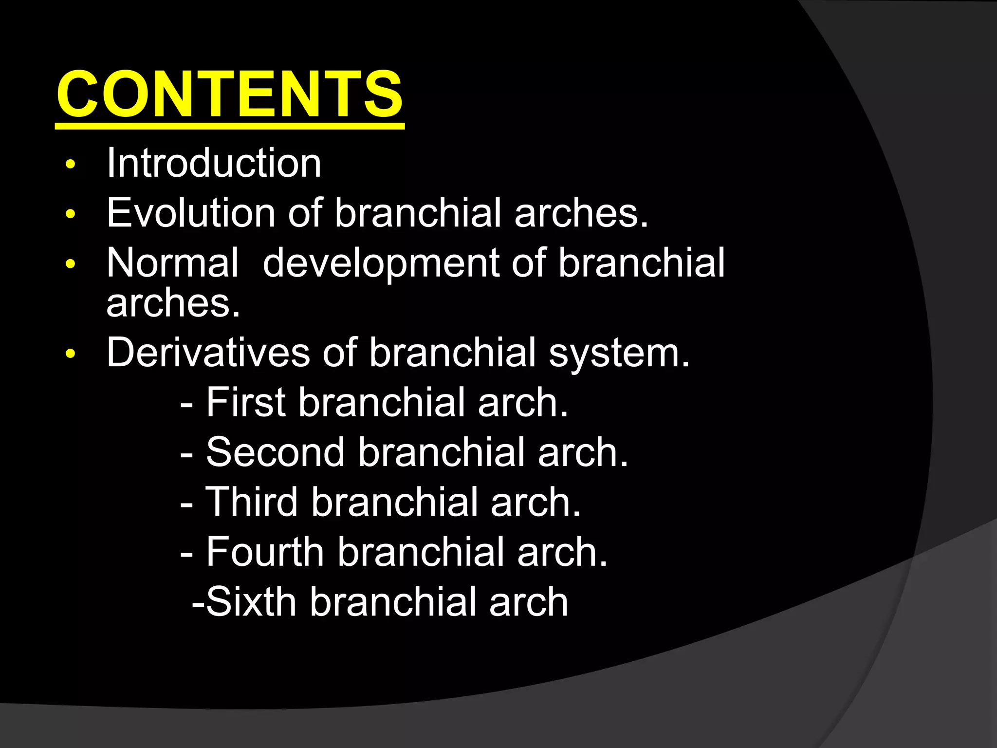 Branchial arches | PPTX