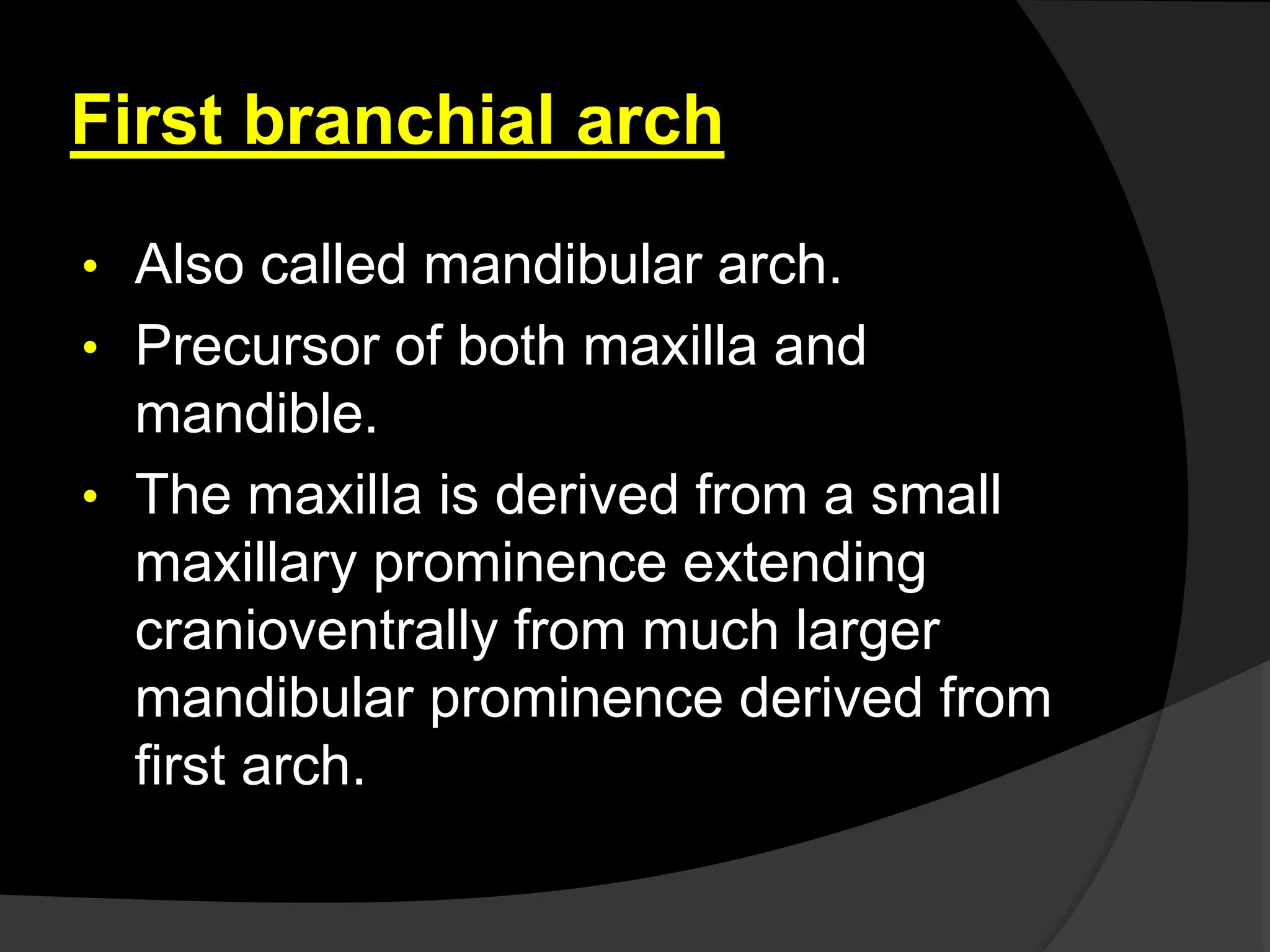 Branchial arches | PPTX
