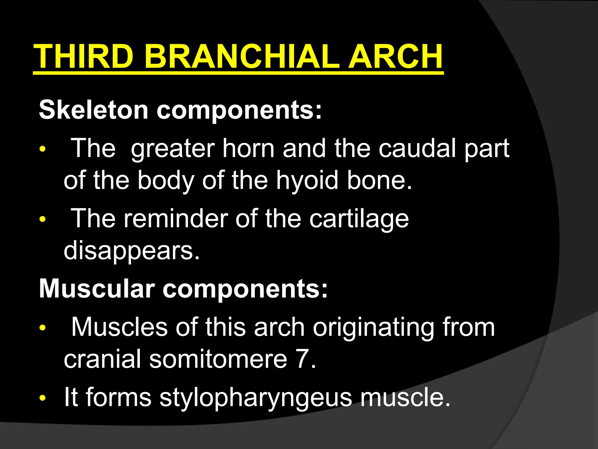Branchial arches | PPTX