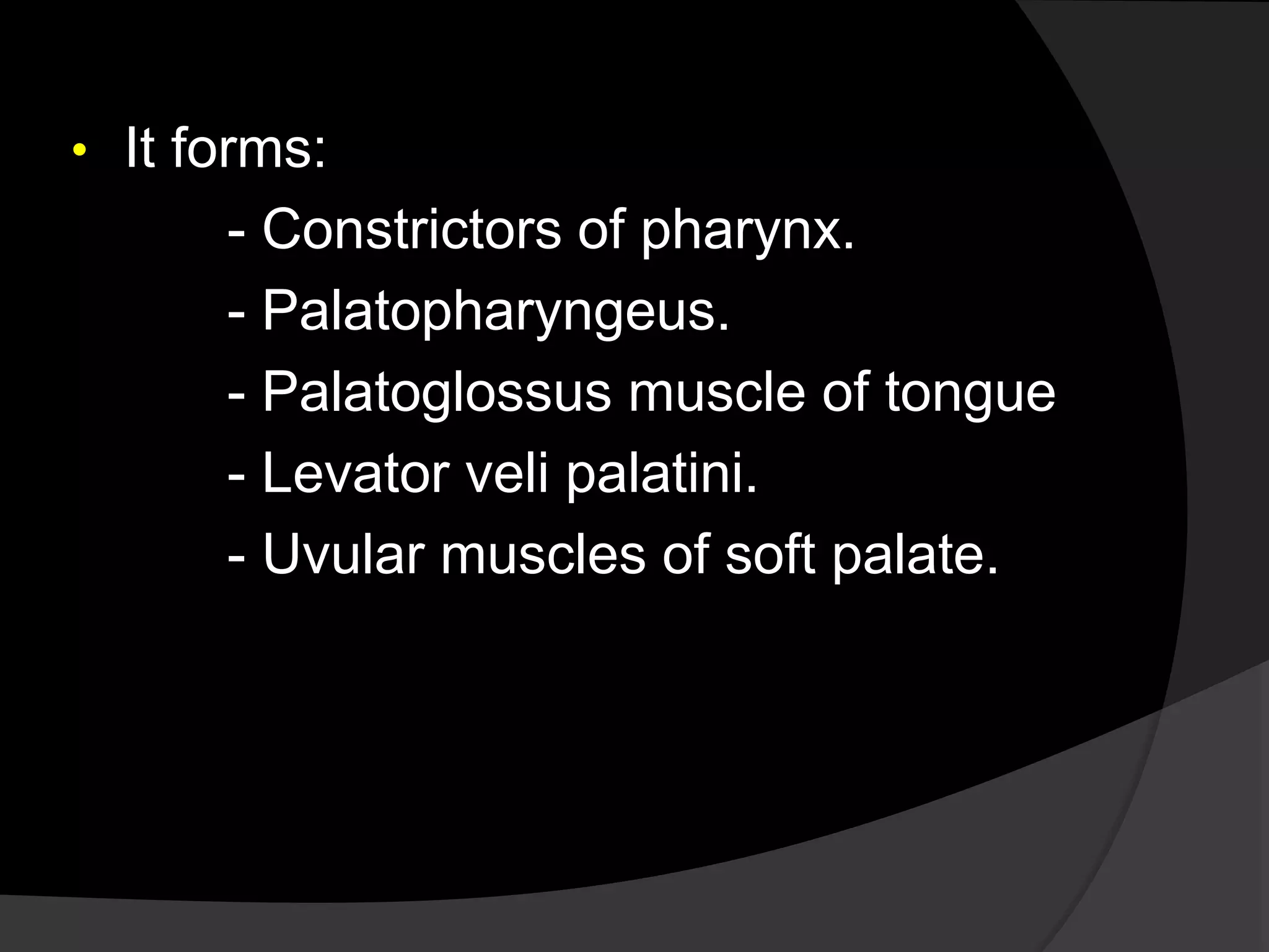 Branchial arches | PPTX