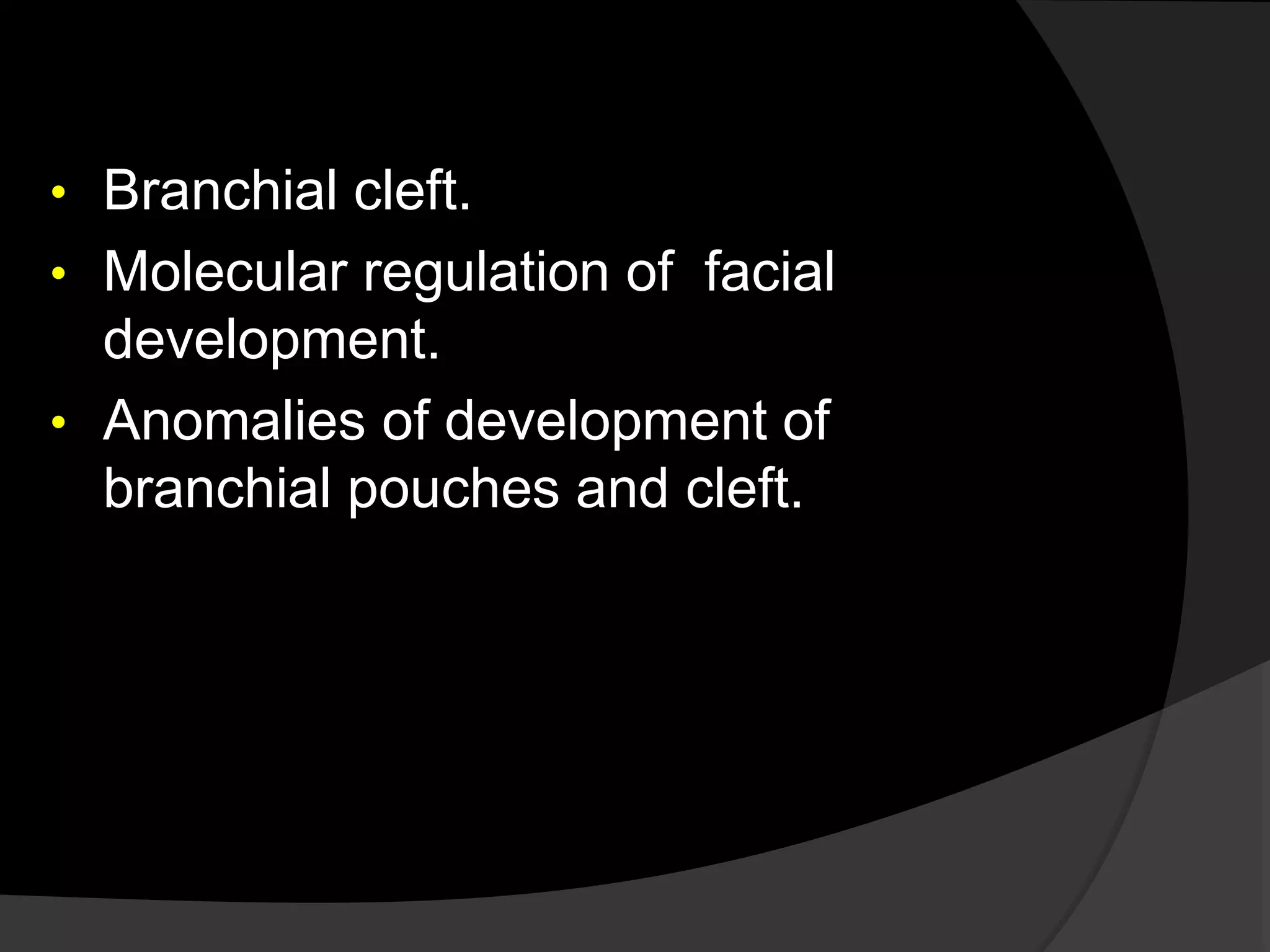 Branchial arches | PPTX