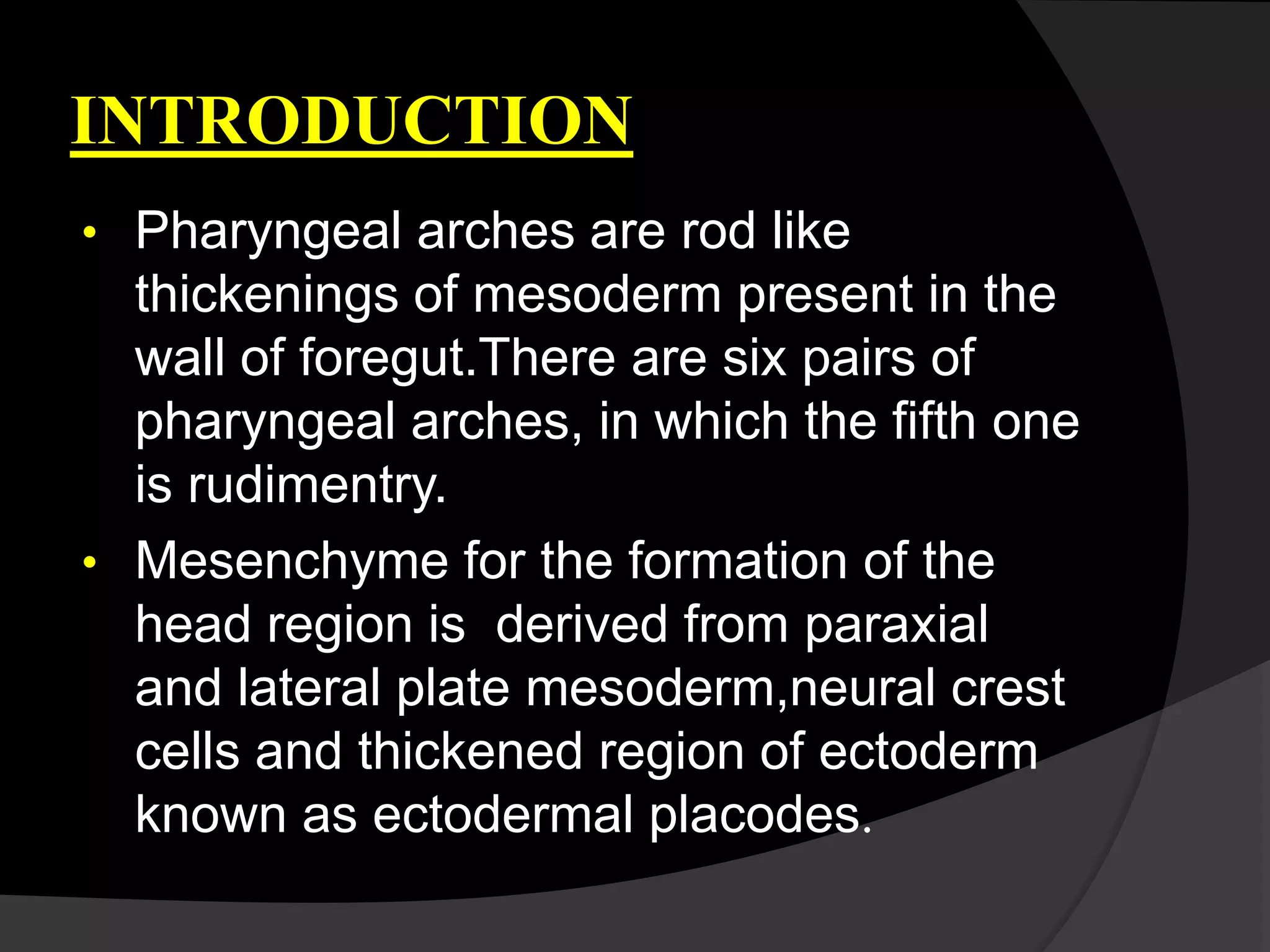 Branchial arches | PPTX