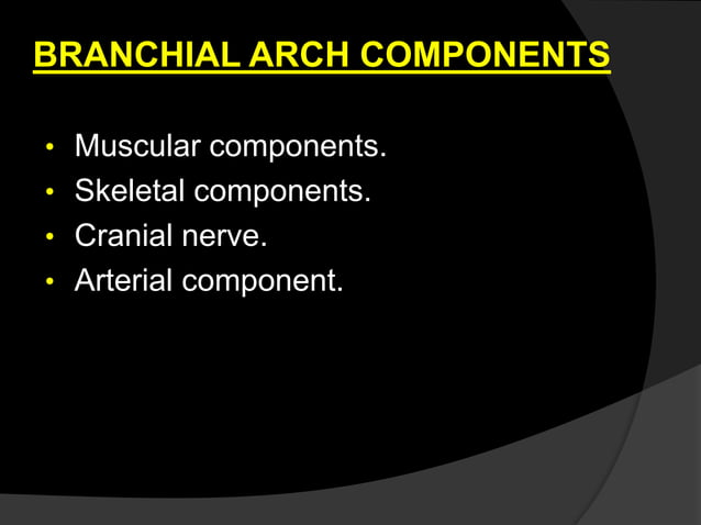 Branchial arches | PPTX