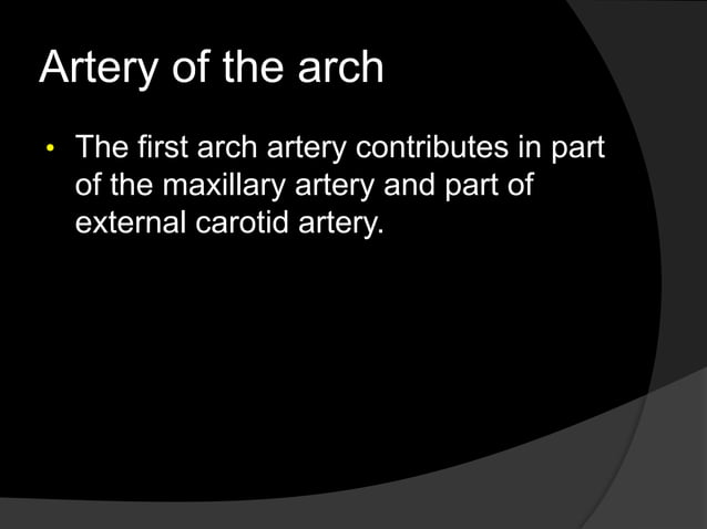 Branchial arches | PPTX