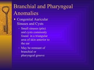 Branchial pharyngeal arches_concise | PPT