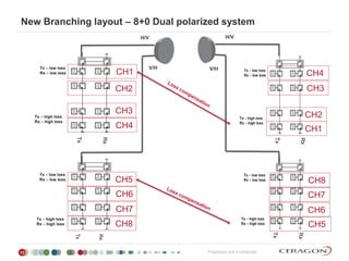 Branching for Long Haul All Indoor System.pdf