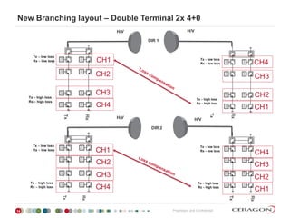 Branching for Long Haul All Indoor System.pdf