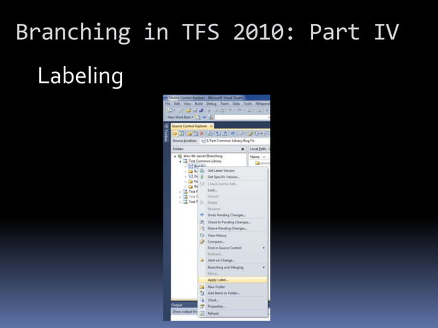 Branching In Tfs 2010 Part Iv Internal Pattern Pptx Computing Technology And Computing
