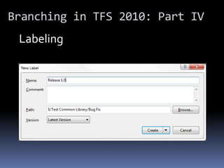 Branching in TFS 2010 Part IV (Internal Pattern) | PPTX | Computing | Technology & Computing