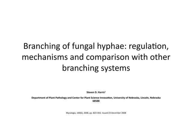 Branching of fungal hyphae | PDF