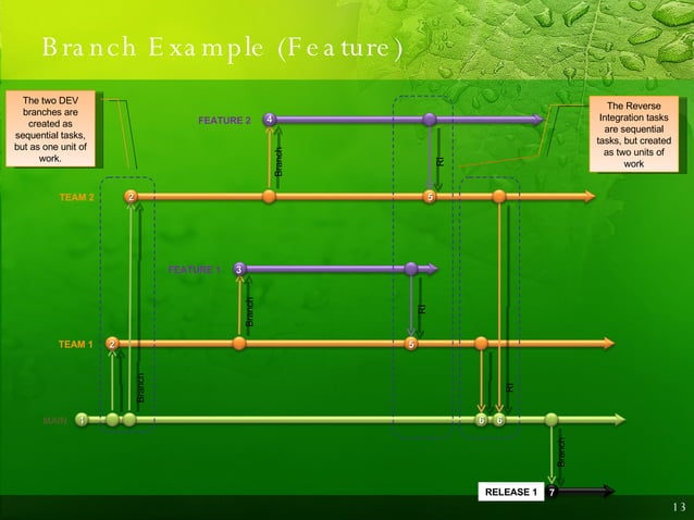Branching Over The Top! | PPT