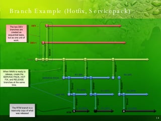 Branching Over The Top! | PPT