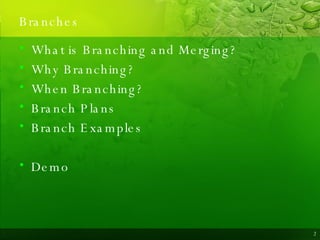 Branching Over The Top! | PPT