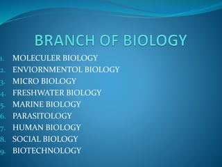 Branches of biology | PPTX