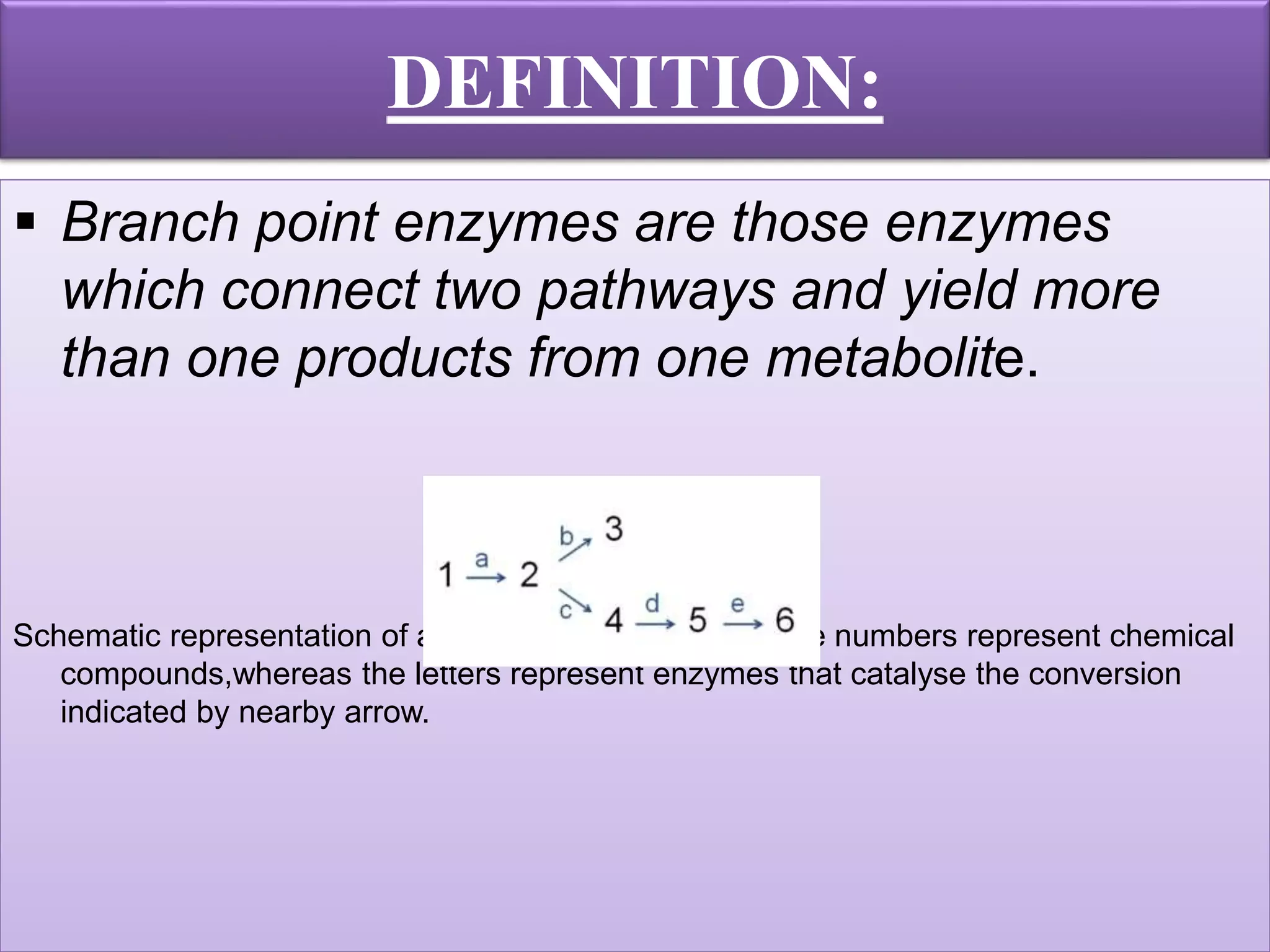 Branch point enzymes,(Phenylalanine Ammonium lyase):Shikkimic acid ...