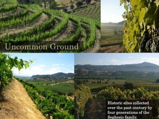 Seghesio Brand Presentation | PPT