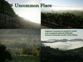 Seghesio Brand Presentation | PPT