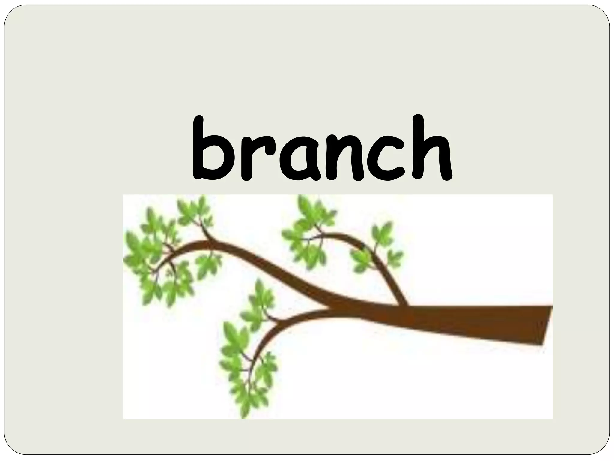 BR and CR Blends | PPT