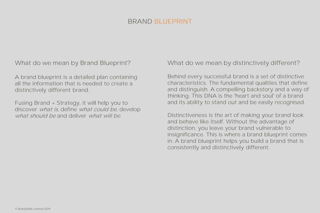 BrandDNA+The+Brand+Blueprint-branding.pdf | Free Download