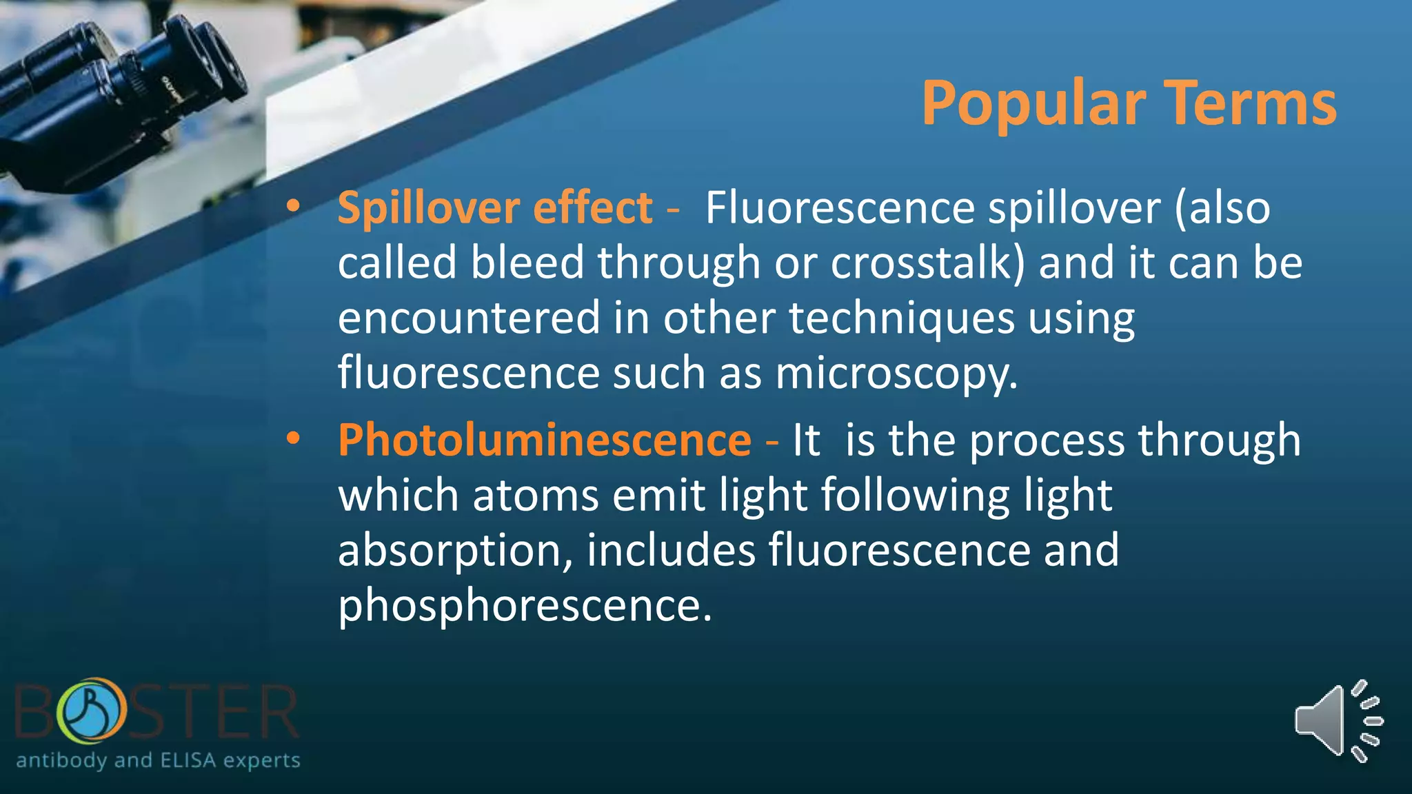 Immunofluorescence (IF) Glossary | PDF