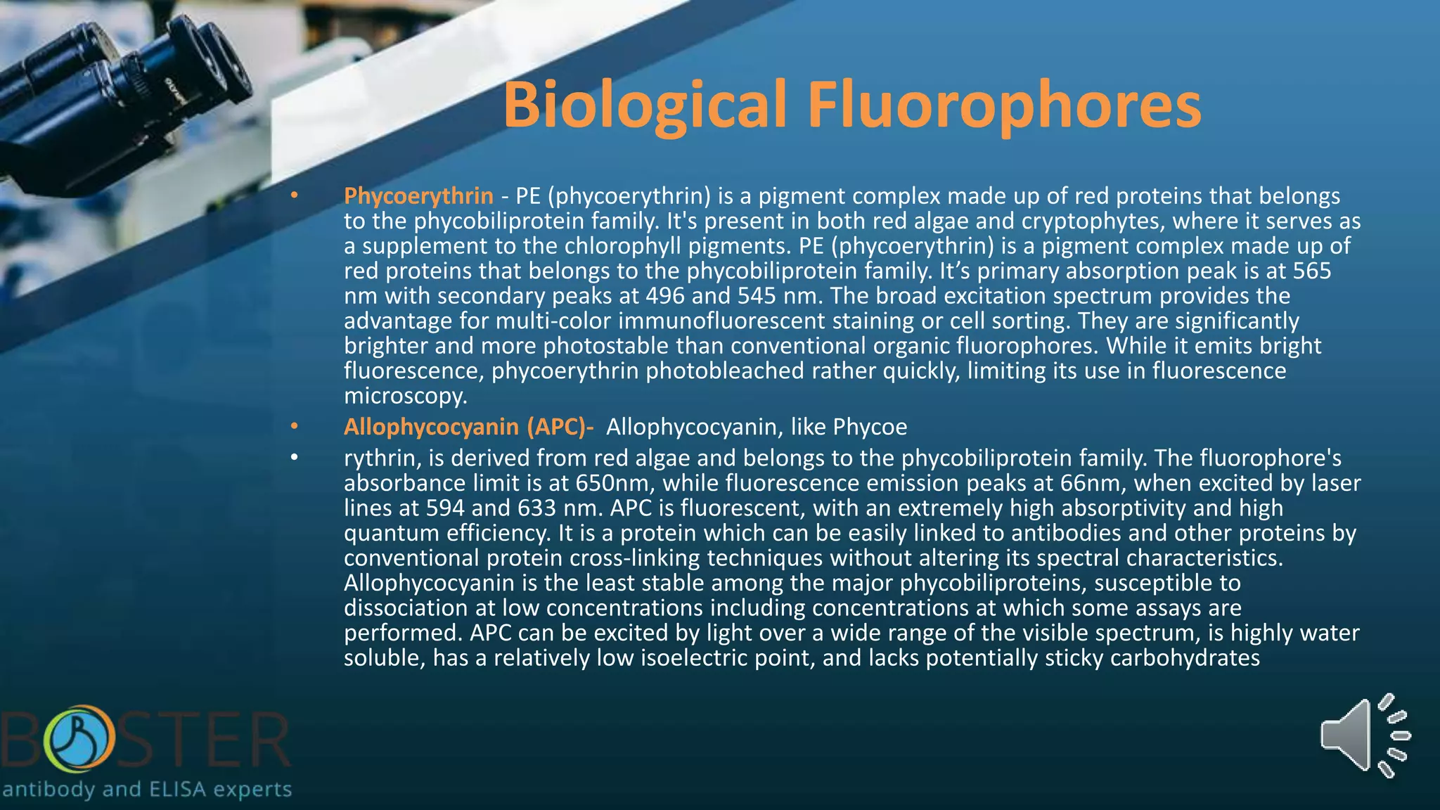 Immunofluorescence (IF) Glossary | PDF