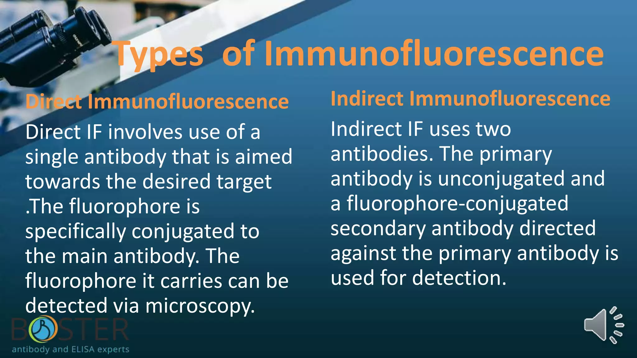 Immunofluorescence (IF) Glossary | PDF