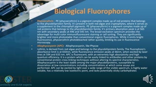 Immunofluorescence (IF) Glossary | PPT