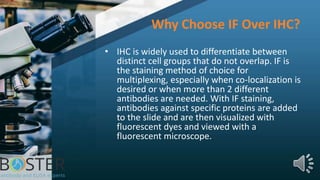 Immunofluorescence (IF) Glossary | PPT