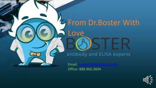 Branded immunofluoresence glossary | PPT