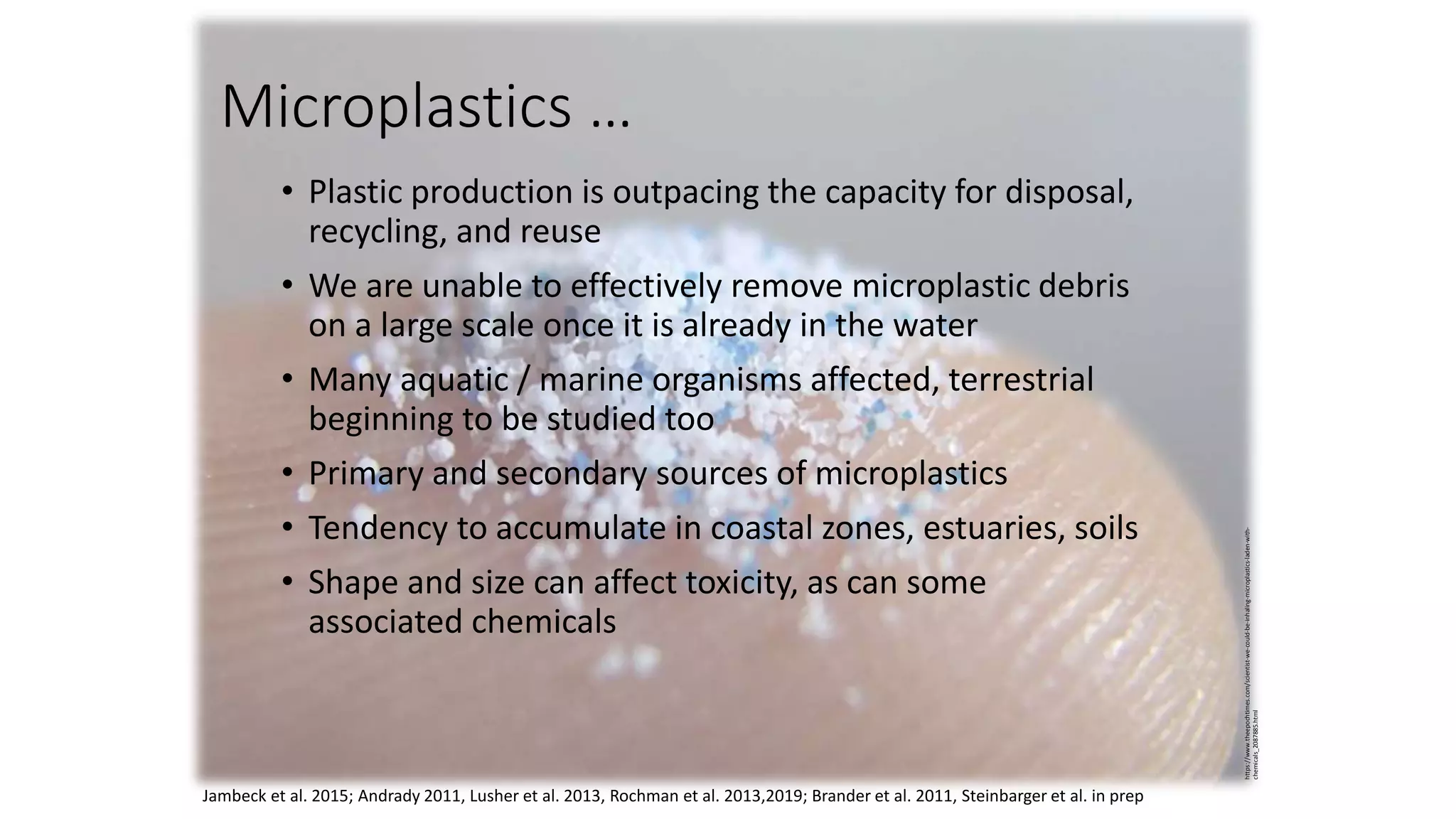 A Closer Look at Microplastics | PPTX