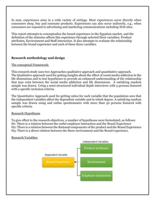 Brand experience report | PDF