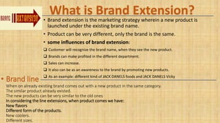 Brand extension | PDF